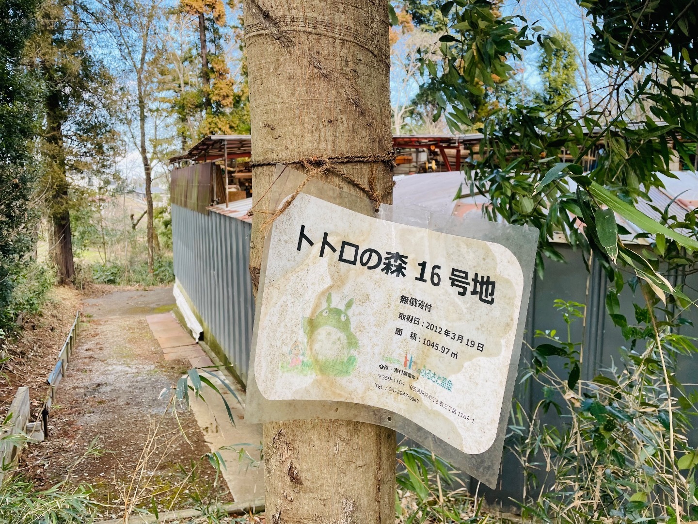 トトロの森を探して: HINATA CAFE